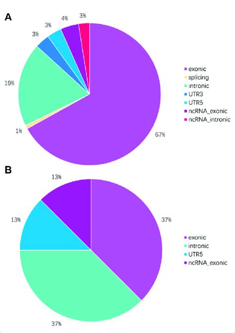 Genome Location Of Snvs And Indels In Tumor Tissue A Proportion Of