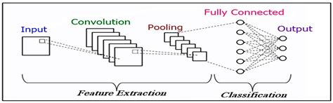 evaluation and optimization of biomedical image based deep