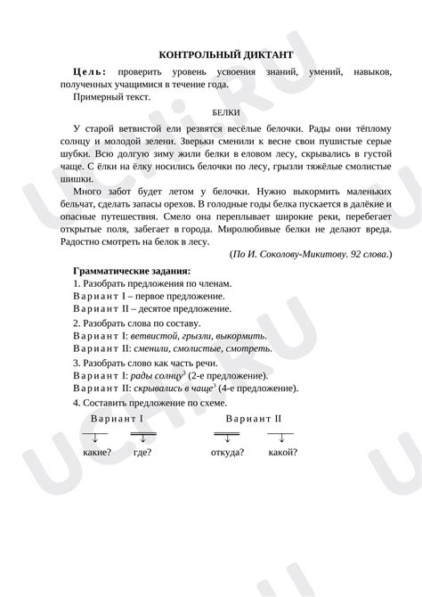🖍 Проверочная работа №6 по теме “Дидактический материал по русскому языку по теме Диктант
