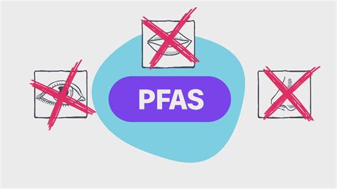 Das Ist Mit Pfas Gemeint Zdf Goes Schule