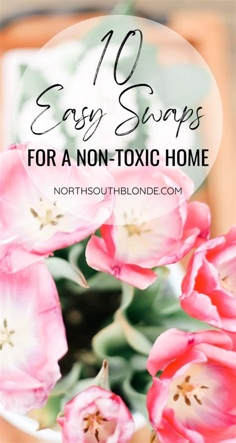 10 Easy Swaps To Eliminate Toxins For A Non Toxic Home Artofit