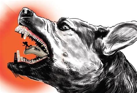 Abc Of Rabies In Kerala