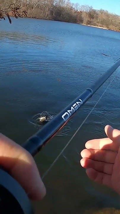 Huge Prespawn Bass Youtube