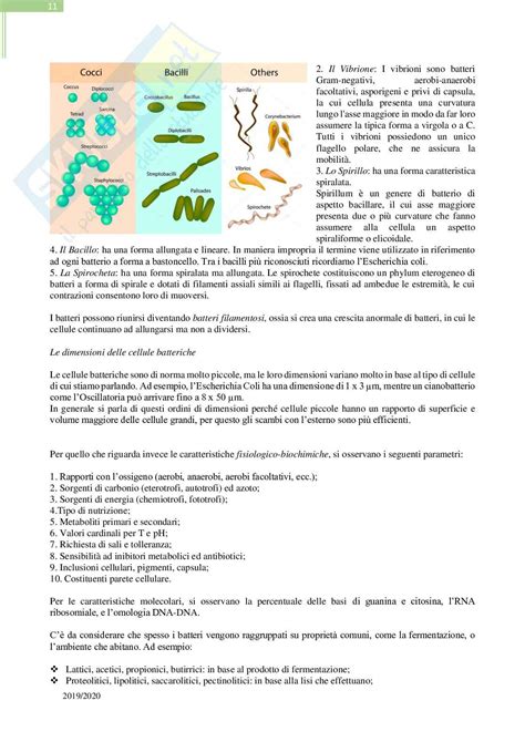 Riassunti Di Microbiologia