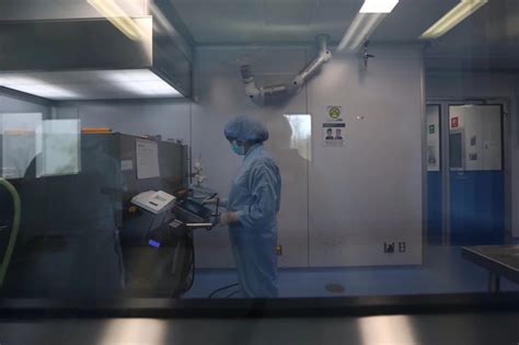 Sars Cov 2 T細胞の濃縮はウイルスの治療法かもしれない Infobae