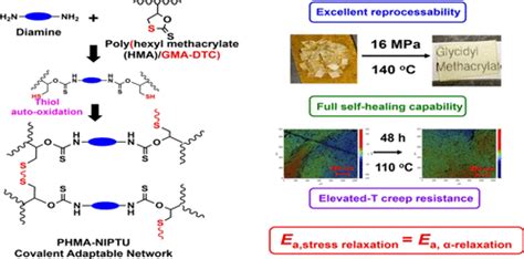 Reprocessable Self Healing And Creep Resistant Covalent Adaptable Network Made From Chain