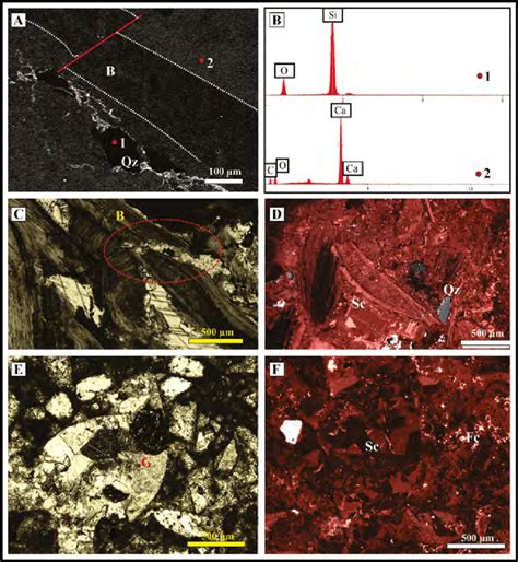 Compaction And Cementation
