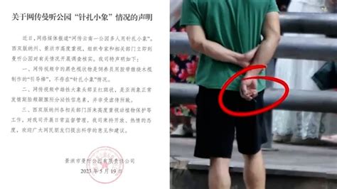 云南曼听公园通报驯象师被指刺扎小象棍状物系引导棒 凤凰网视频 凤凰网