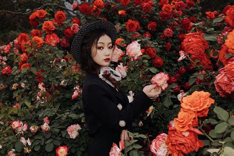 一抹浓烈 希望你的爱情如同月季热烈而美好photohome印像家 站酷zcool