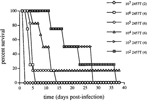 Time To Death In Gamma Interferon Deficient Mice Following Infection