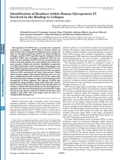 Pdf Identification Of Residues Within Human Glycoprotein Vi Involved In The Binding To Collagen