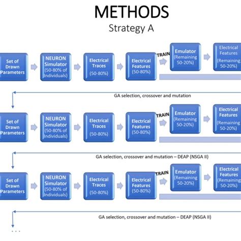 A Strategy For A Modified Genetic Algorithm Simulating Features For