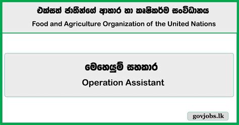 Operation Assistant Food And Agriculture Organization Of The United