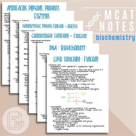 Biochemistry MCAT Study Guide Etsy