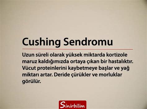 Cushing Sendromu Nedir Hangi Belirtileri Gösterir Sinirbilim