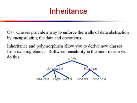 Object Oriented Programming Oop Virtual Functions And Inheritance