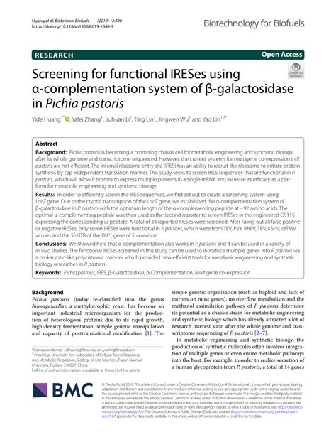 Pdf Screening For Functional Ireses Using α Complementation System Of