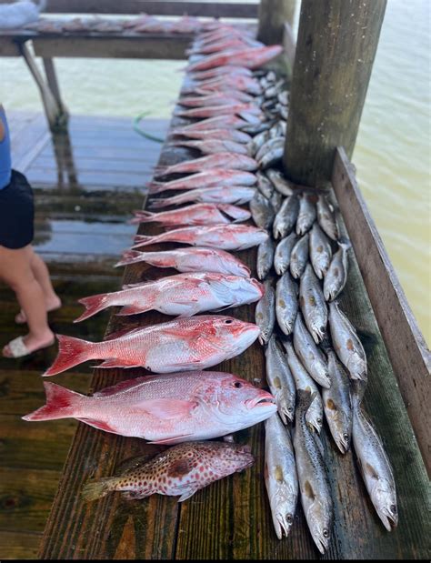 Fish Assassin Charters Added A Fish Assassin Charters