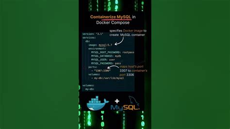 Python Sql Programming Nextfo Anhome ♥️ Youtube