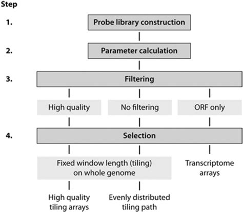 Probe Design Workflow The Probe Design Workflow Is Composed Of Four Download Scientific