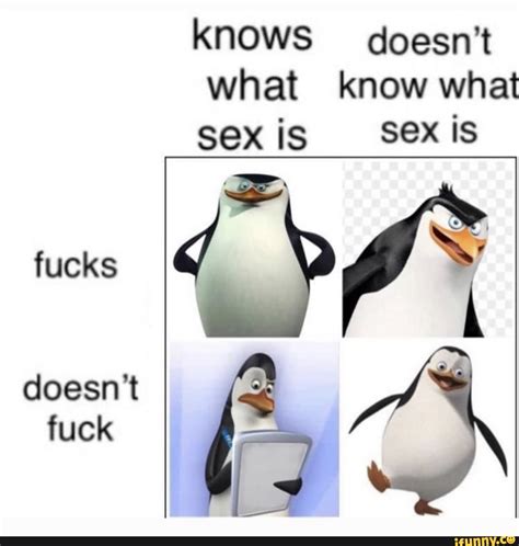 Knows Doesnt What Know What Sex Is Sex Is Fucks Doesnt Fuck Ifunny