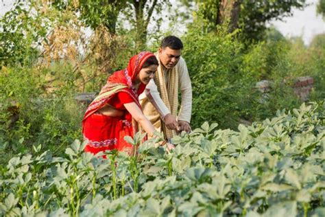 Agriculture Agriculture Help Increase Crop Yields
