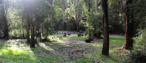 Lake Elizabeth Campground Camping At Lake Elizabteth In The Otways