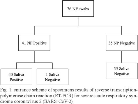 Figure 1 From Comparison Of Viral Load Between Saliva And Nasopharyngeal Swabs For Sars Cov2