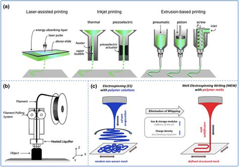 Additive Biomanufacturing A Main Additive Biomanufacturing