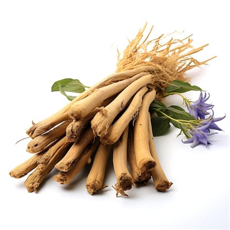 Yellow Root Herb At Tracy Gordon Blog