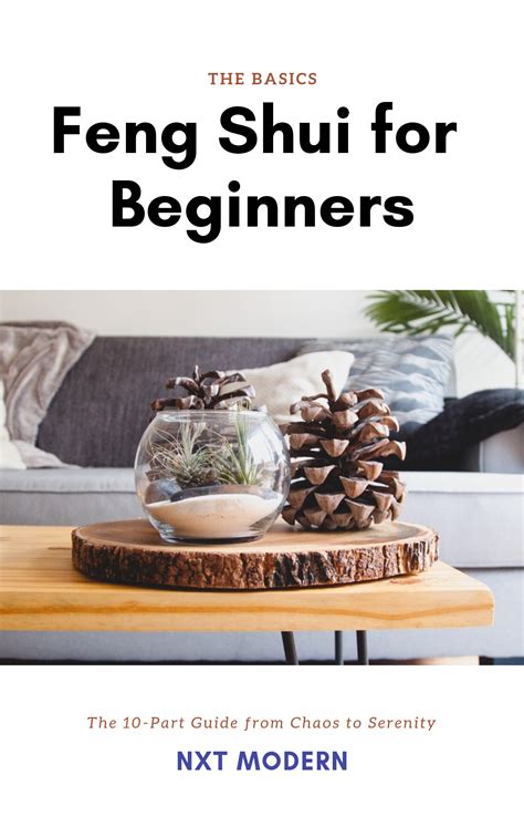Feng Shui For Beginners Nxtmodern