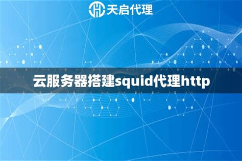 云服务器搭建squid代理 天启ip代理