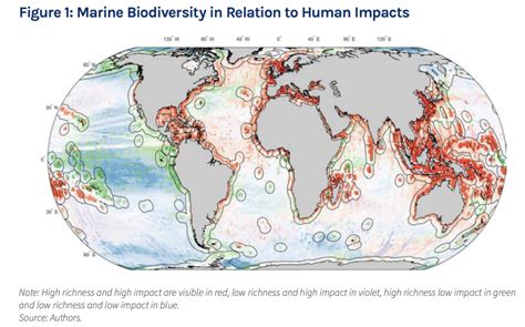 Marine Biodiversity Map