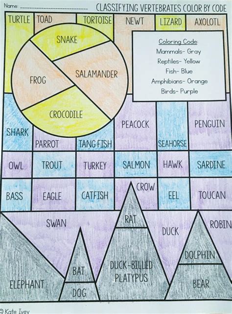 Classifying Vertebrates Color By Code Etsy