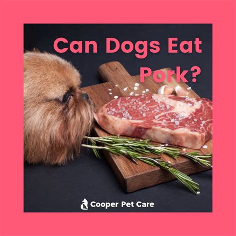 Can Dogs Eat Raw Pork