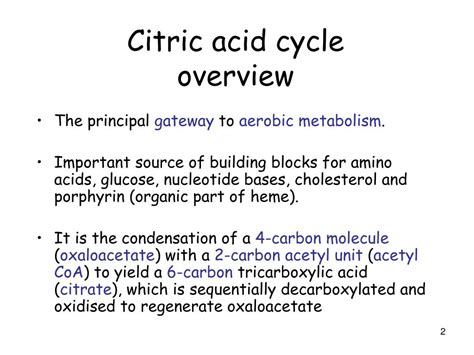 Ppt The Tricarboxylic Acid Cycle Krebs Cycle Citric Acid Cycle
