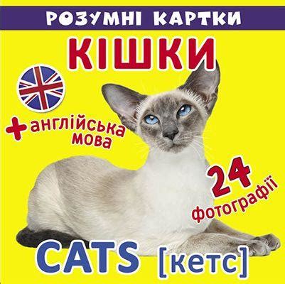 "Розумні Картки. Кішки" — Купити Недорого на Bigl.ua (1696366379)