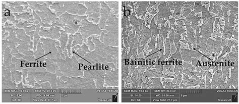 Metals Free Full Text Effect Of Dissolved Co2 On The Interaction Of