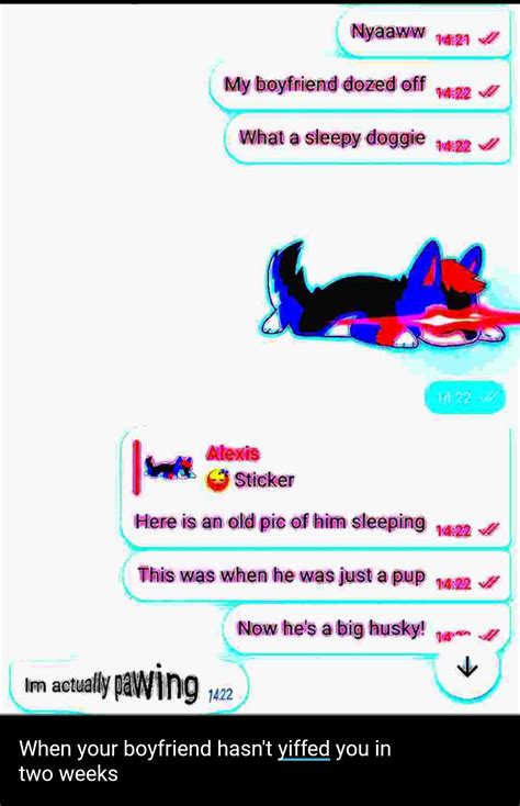 Yiff Me Daddy Owo Deepfuriedmemes