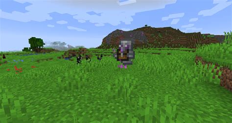 Vazkii S Mods On Twitter Returning Quark Oddities Feature Totem Of Holding Soul Compass