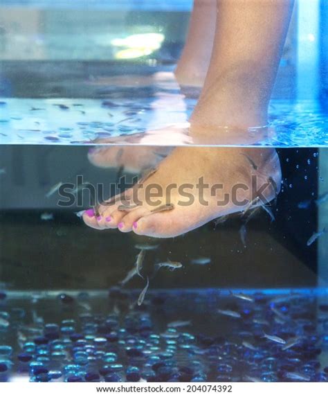 Doctor Fish Fish Spa Pedicure Rufa Stock Photo Edit Now 204074392