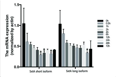 Expression Of Sxta Short And Long Isoform Genes Under N And P Stress