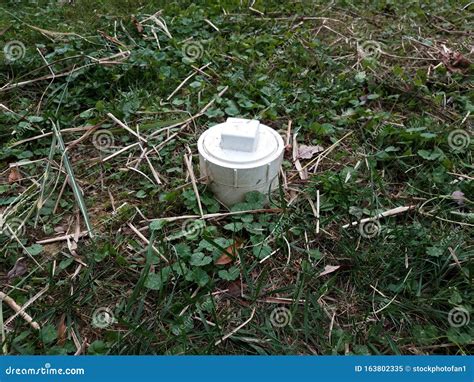 White Plastic Sewer Cleanout Pipe In Yard With Grass Stock Image