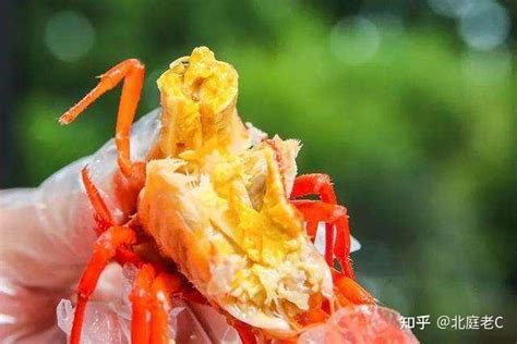 虾线很脏，吃的时候要去除？虾头里全是重金属？内行人为你解答 知乎