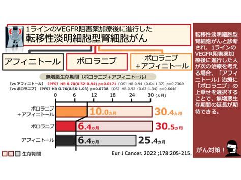 日本がん対策図鑑 【腎細胞がん：二次治療（pfs）】「ボロラニブ＋アフィニトール」vs「アフィニトール」