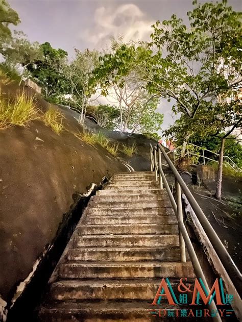 ＜好遊＞城市之夜景 深水埗嘉頓山 Now 新聞