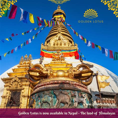 Golden Lotus On Linkedin Incense Incensesticks Handmade Sugandh