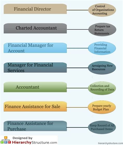 Financial Department Hierarchy Hierarchy Accounting And Finance