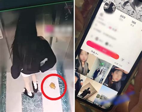 【閲覧注意】エレベーター内でウンコした美女、無修正で晒され、snsまで特定され人生終了（画像あり） ポッカキットポッカキット