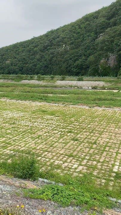 그림같은 계곡 의성군 점곡계곡shorts 의성계곡점곡계곡 Youtube